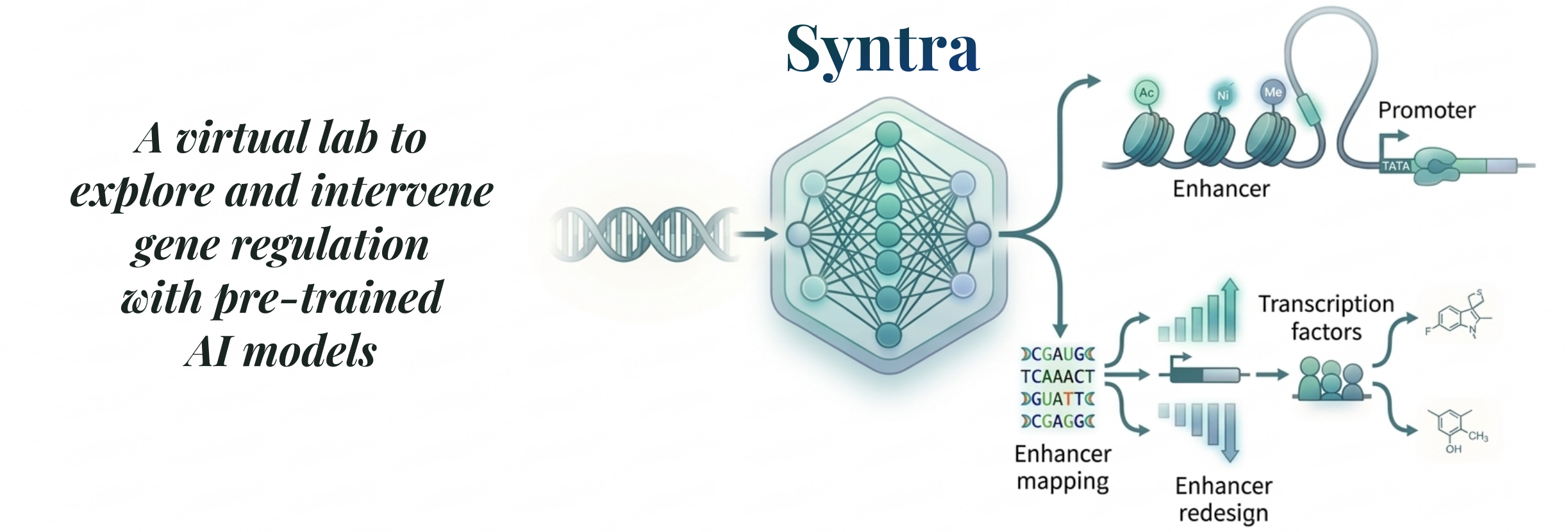 DeepBiology.AI
